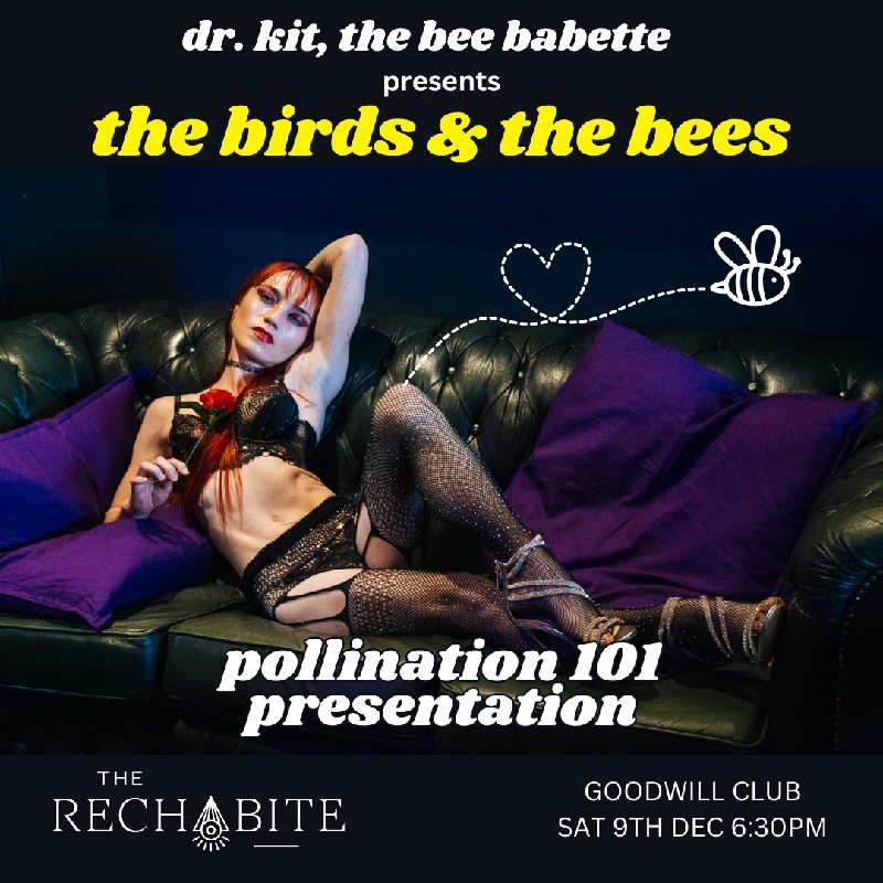 Megatix - The Birds & the Bees