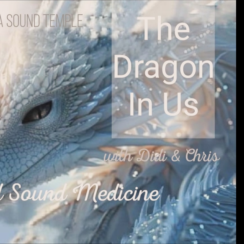 Megatix - Dragon in Us Sound Medicine
