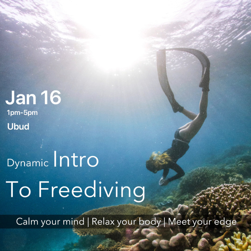 Megatix - Dynamic Intro to Freediving
