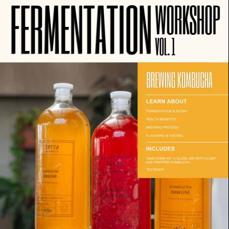 Megatix - Fermentation food Workshop :Kombucha